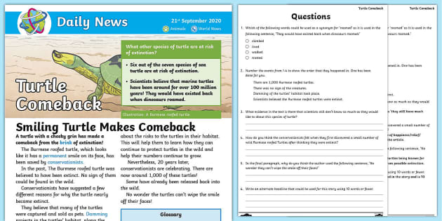 NewsRoom Daily Article - Smiling Turtles - LKS2 Reading Comprehension