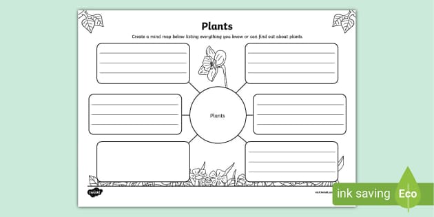 * NEW * Plants Mind Map | Science (teacher made)
