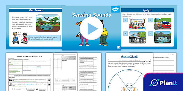 Year 2 Science Sound Waves Lesson 1 Sensing Sounds - Twinkl