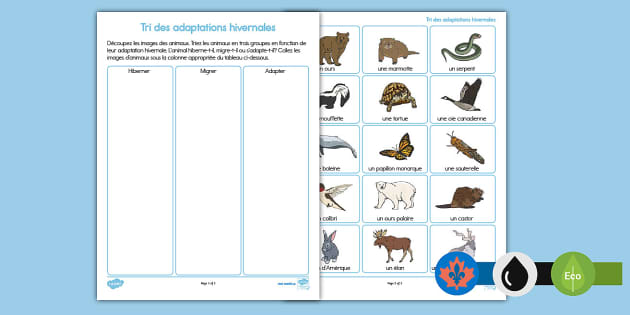 Winter Adaptations Sorting Activity French (Teacher-Made)