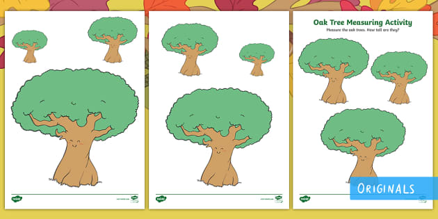 Oak Tree Measuring Activity