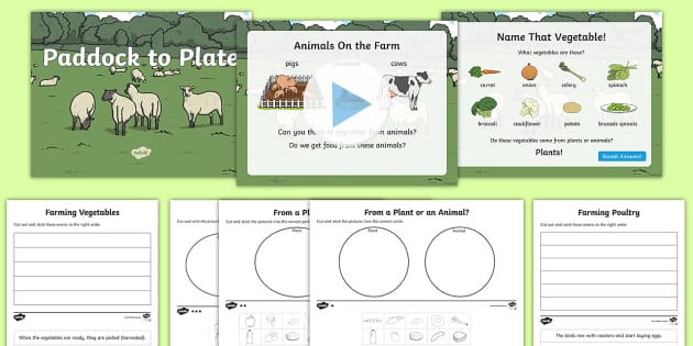 Paddock to Plate PowerPoint Pack (teacher made)