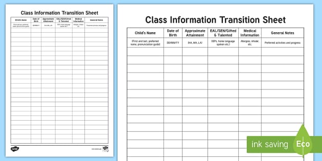 Class Information Transition Sheet (teacher made) - Twinkl