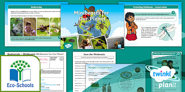 Science: Biodiversity - Minibeasts: Minibeasts for Our Planet Year 2 ... Science: Biodiversity - Minibeasts: Minibeasts for Our Planet Year 2 ...