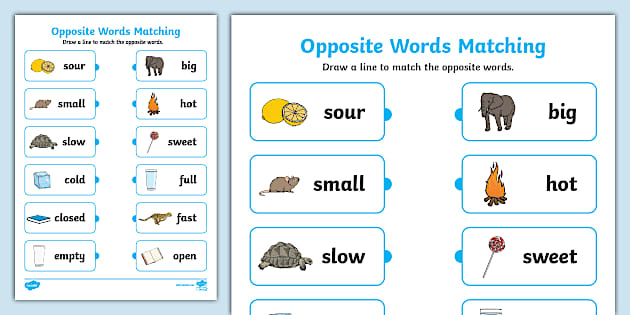 Editable Opposites Worksheet | Opposite Words Matching Activity