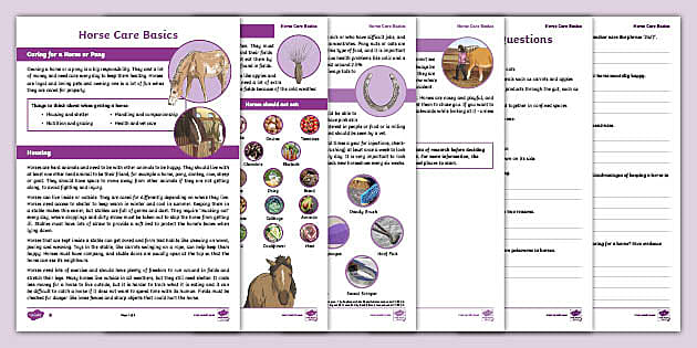 Horse Care Basics Differentiated Reading Comprehension