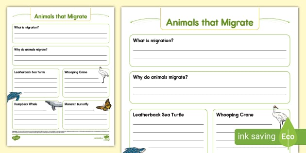 Animals that Migrate Fact File Template (creat de profesori)