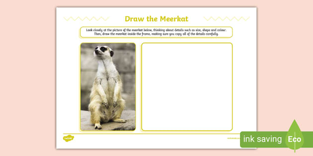 Draw the Meerkat Art Activity (teacher made) - Twinkl
