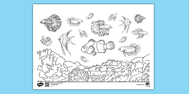 Tropical Fish Doodle Colouring Page (teacher made) - Twinkl