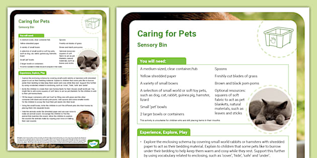 Caring for Pets Sensory Bin | Twinkl (teacher made) - Twinkl