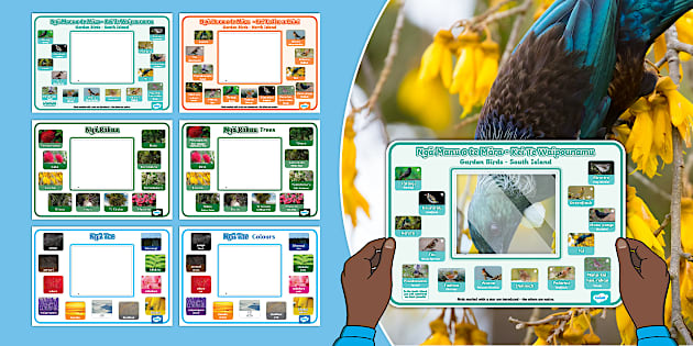 I Spy Nature Frames in Te Reo Māori Pack (teacher made)