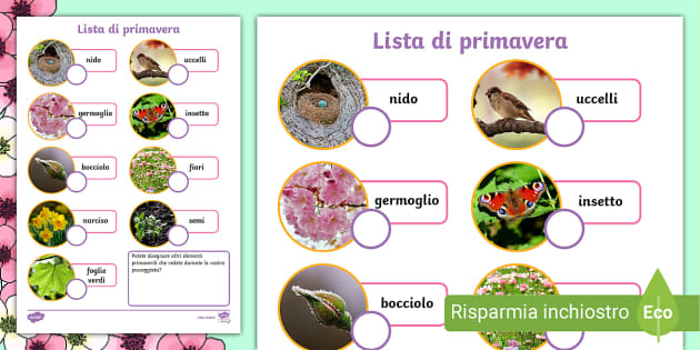 Checklist di primavera (teacher made) - Twinkl