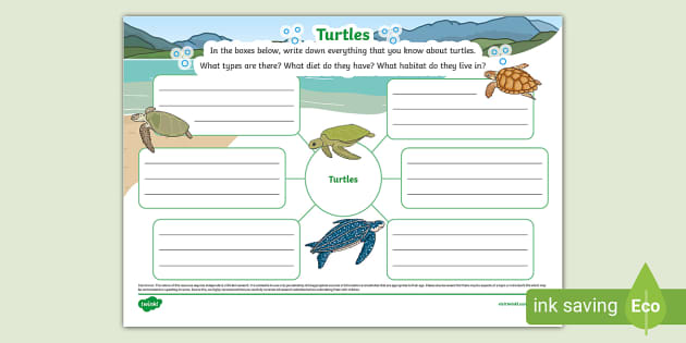 Turtles Mind Map (l'enseignant a fait) - Twinkl