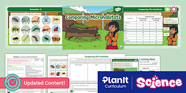 Science: Living Things & Their Habitats: Y2 Lesson 4