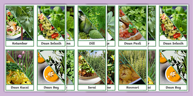 Menggunakan herba untuk memasak. Makanan berperisa dan kesihatan