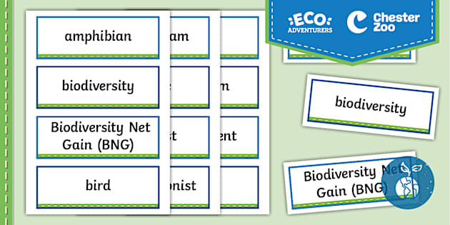 Year 5 Biodiversity Vocabulary Cards - Twinkl