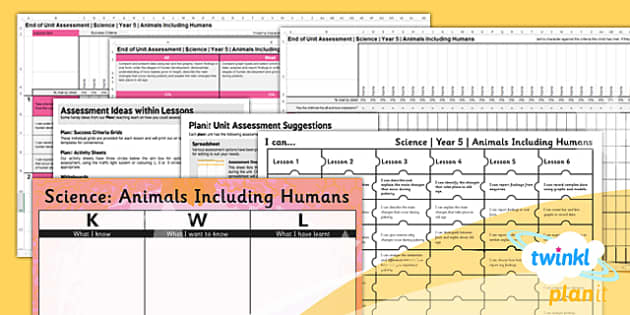 Science: Animals Including Humans Year 5 Unit Assessment Pack