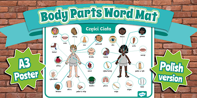 Body Parts Word Mat - Polish