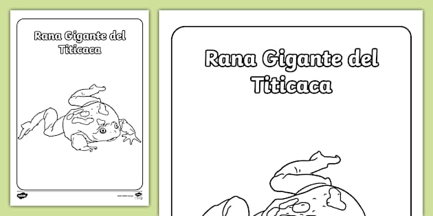 Hoja para colorear: Rana Gigante del Titicaca