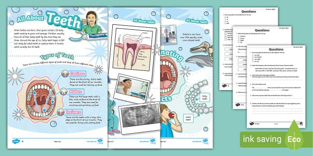 LKS2 All About Teeth Differentiated Reading Comprehension