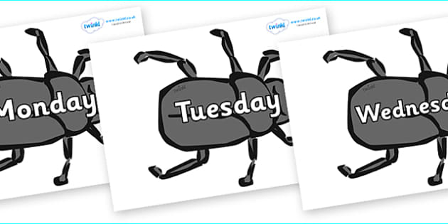 FREE! - Days of the Week on Beetles (teacher made) - Twinkl