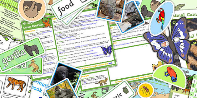 Jungle KS1 Lesson Plan Ideas and Resource Pack - Twinkl