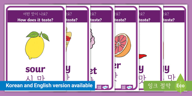 미각 형용사 디스플레이 포스터 Taste Adjectives Display Posters