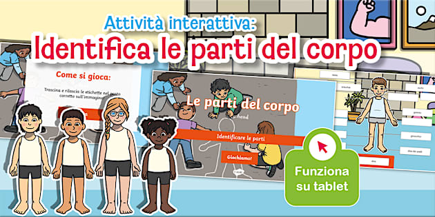 Attività interattiva: Identifica le parti del corpo