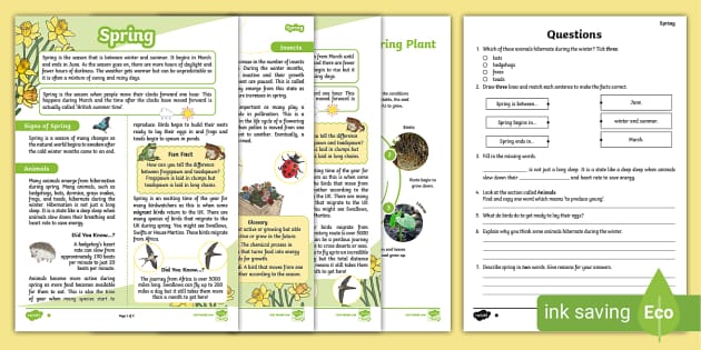 UKS2 Spring Differentiated Reading Comprehension Activity