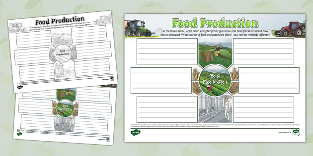 Food Production Mind Map (teacher made) - Twinkl
