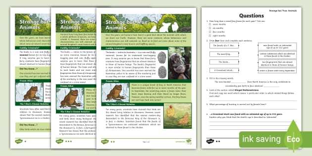 UKS2 Animals Differentiated Reading Comprehension Activity