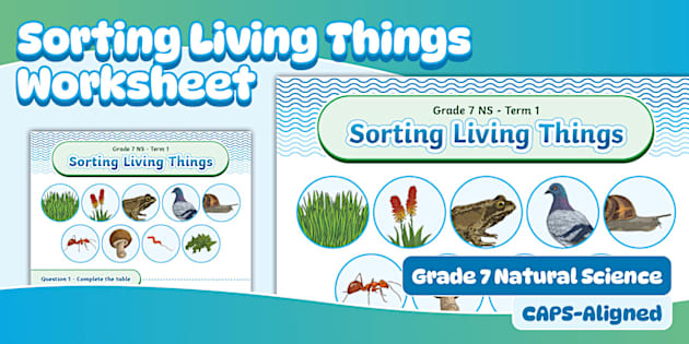 Grade 7 NS - Term 1 - Sorting Living Things - Worksheet