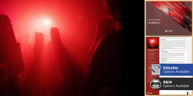 GCSE Media Case Study - Turning Red Lesson 2: Audience