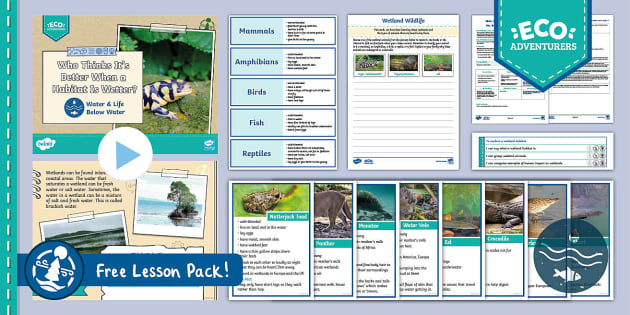 FREE! - Year 4 Water & Life Below Water: Lesson 1 - Who Thinks It's Better