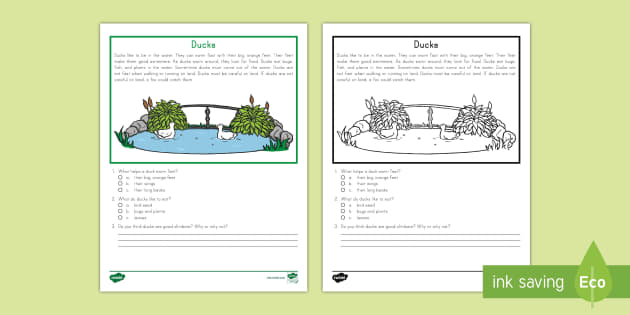 First Grade Ducks Reading Passage Comprehension Activity