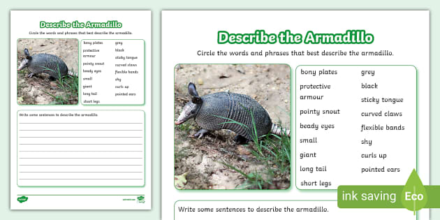 Describe the Armadillo Writing Worksheet - Twinkl - KS1