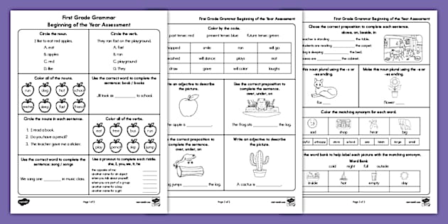 First Grade Beginning of the Year Grammar Assessment