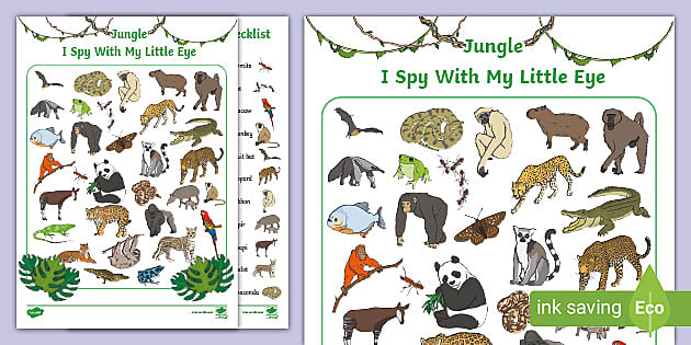 Jungle-Themed I Spy with My Little Eye Activity - Twinkl