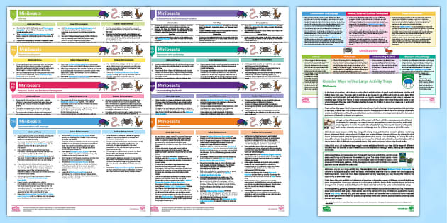 EYFS Ages 2-3 Minibeasts Bumper Planning Pack - Twinkl
