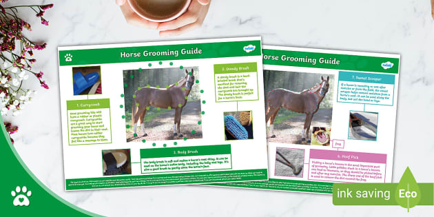 Horse Grooming Guide - Information Sheet - Twinkl Pets