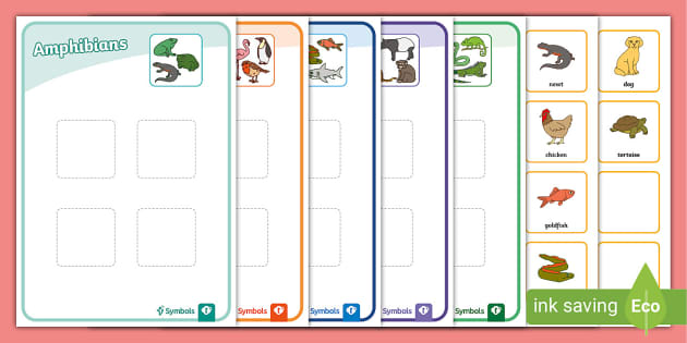 Twinkl Symbols: Classifying Animals Sorting Activity