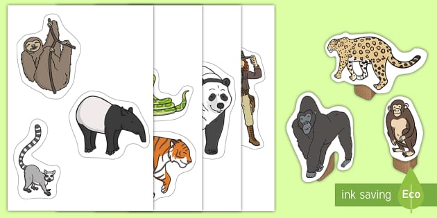 Animale din junglă și din pădurile tropicale - Materiale pentru decupat