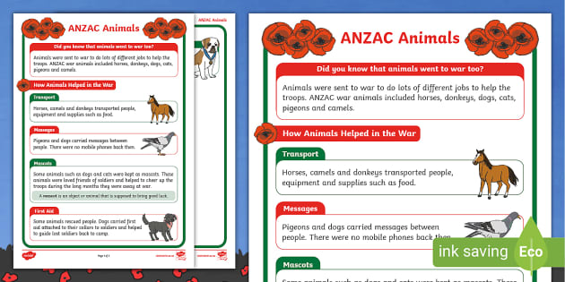 ANZAC Animals Fact File Years 0-2 (teacher made) - Twinkl