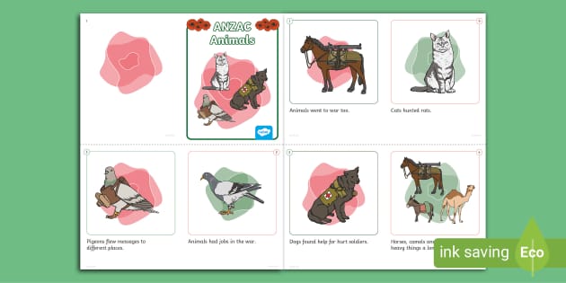 ANZAC Animals Early Reader Text (Hecho por educadores)