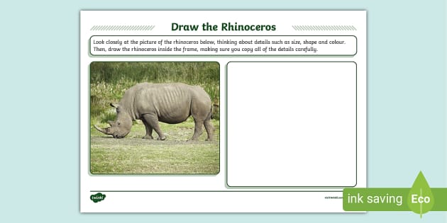 Draw the Rhinoceros Art Activity,Drawing,Sketching,Rhino