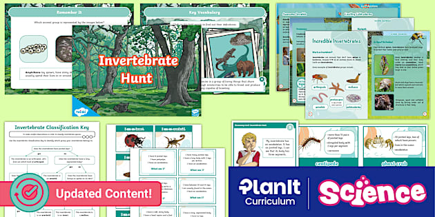 Y4 Living Things & Their Habitats Invertebrate Hunt Lesson Pack