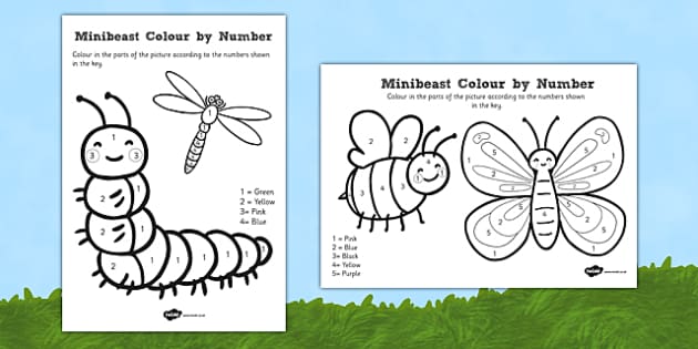 Minibeast Colour by Number - minibeast, colour, number, maths