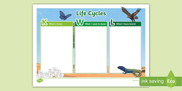 Life Cycles Topic KWL Grid (teacher made) - Twinkl