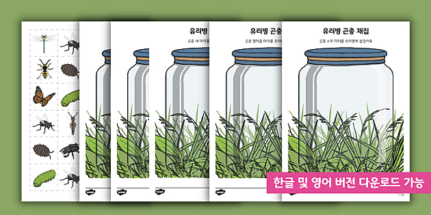 곤충 채집 1-20 숫자 세기 활동지 Bugs in a Jar Counting 1 to 20 Activity