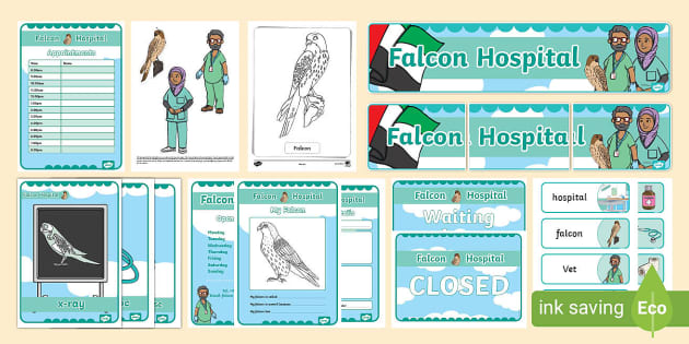 Falcon Hospital Role Play Pack (teacher made) - Twinkl
